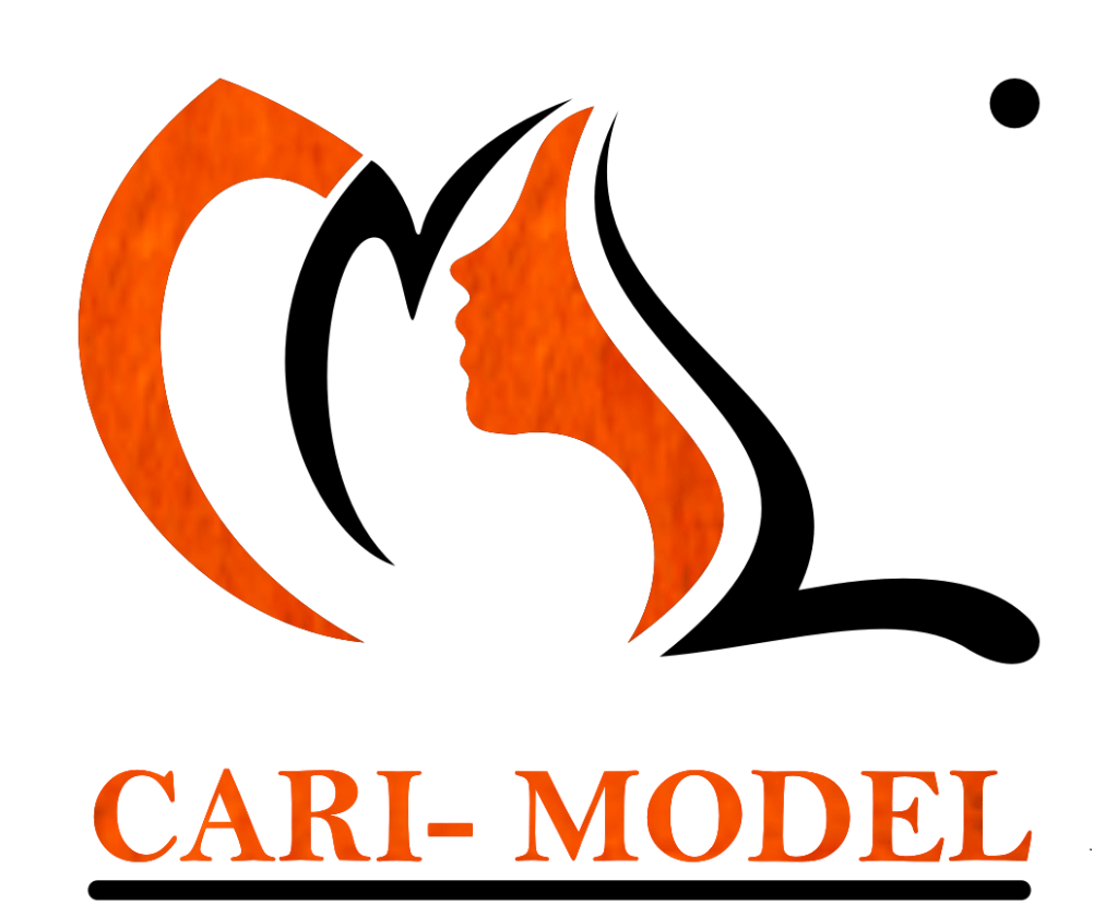 PRÉSENTATION GÉNÉRALE – CARI-MODEL